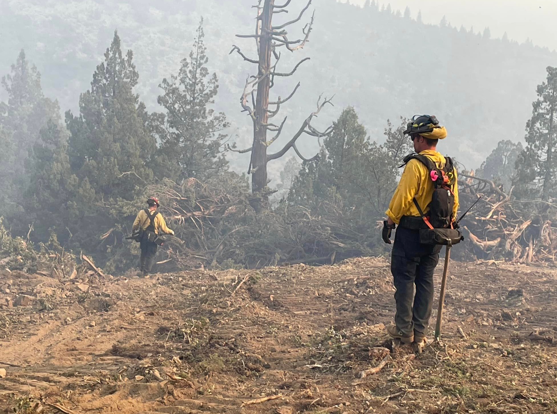 California Fire Foundation